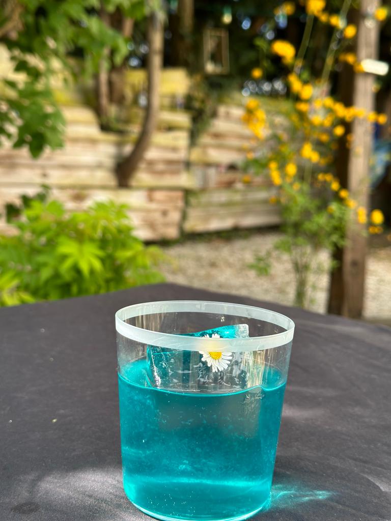 Cenote | Medusa Cocktail